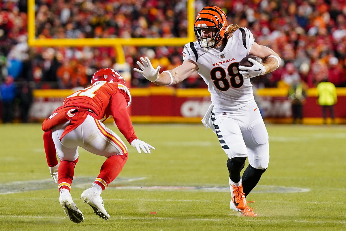 NFC South Position Rankings: TE